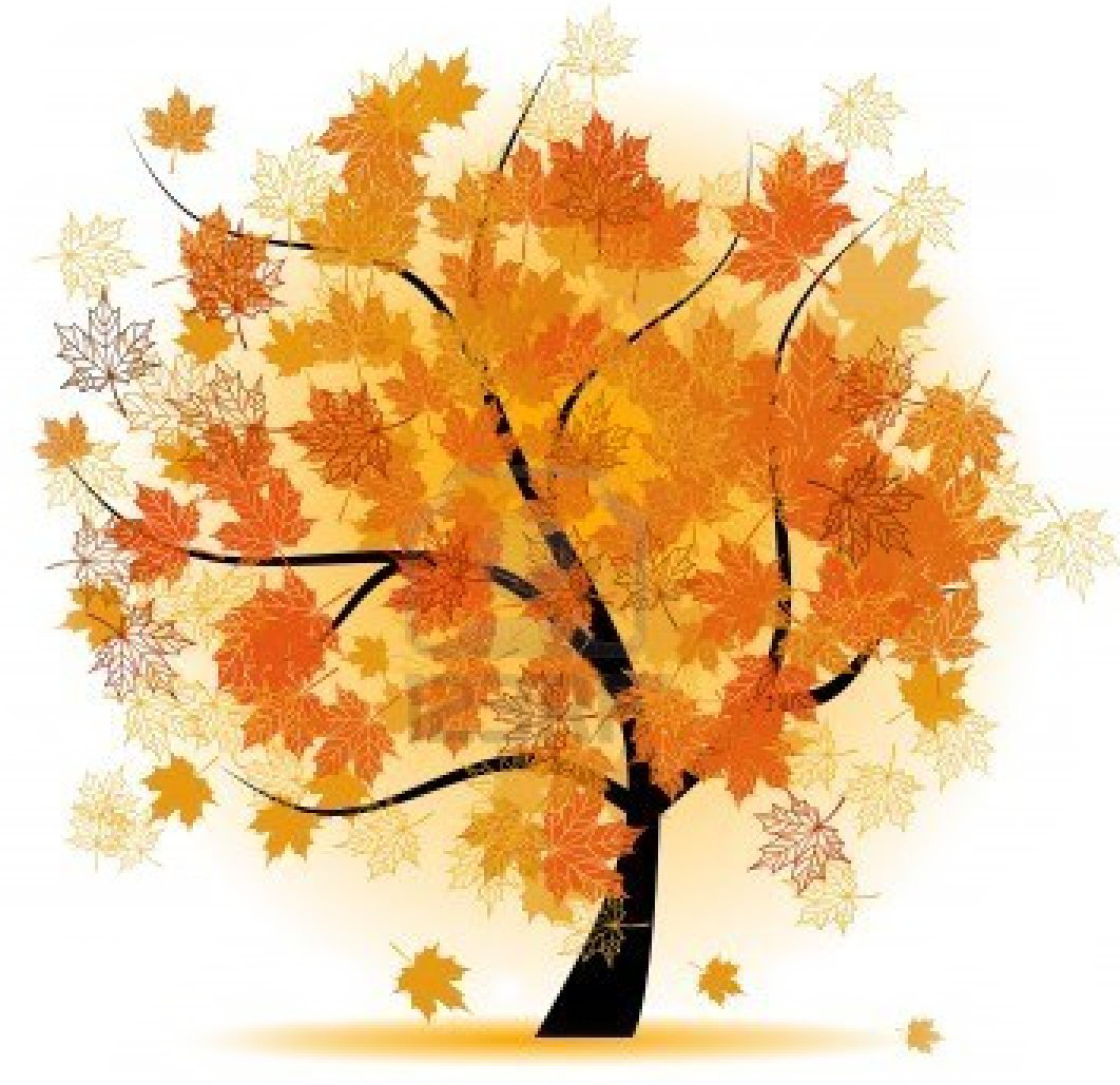 Tree Fall Leaves Png Images Png Images - Maple Tree Clip Art ...