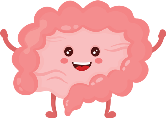 Large Intestine Gastrointestinal Tract Vector Graphics - Happy ...