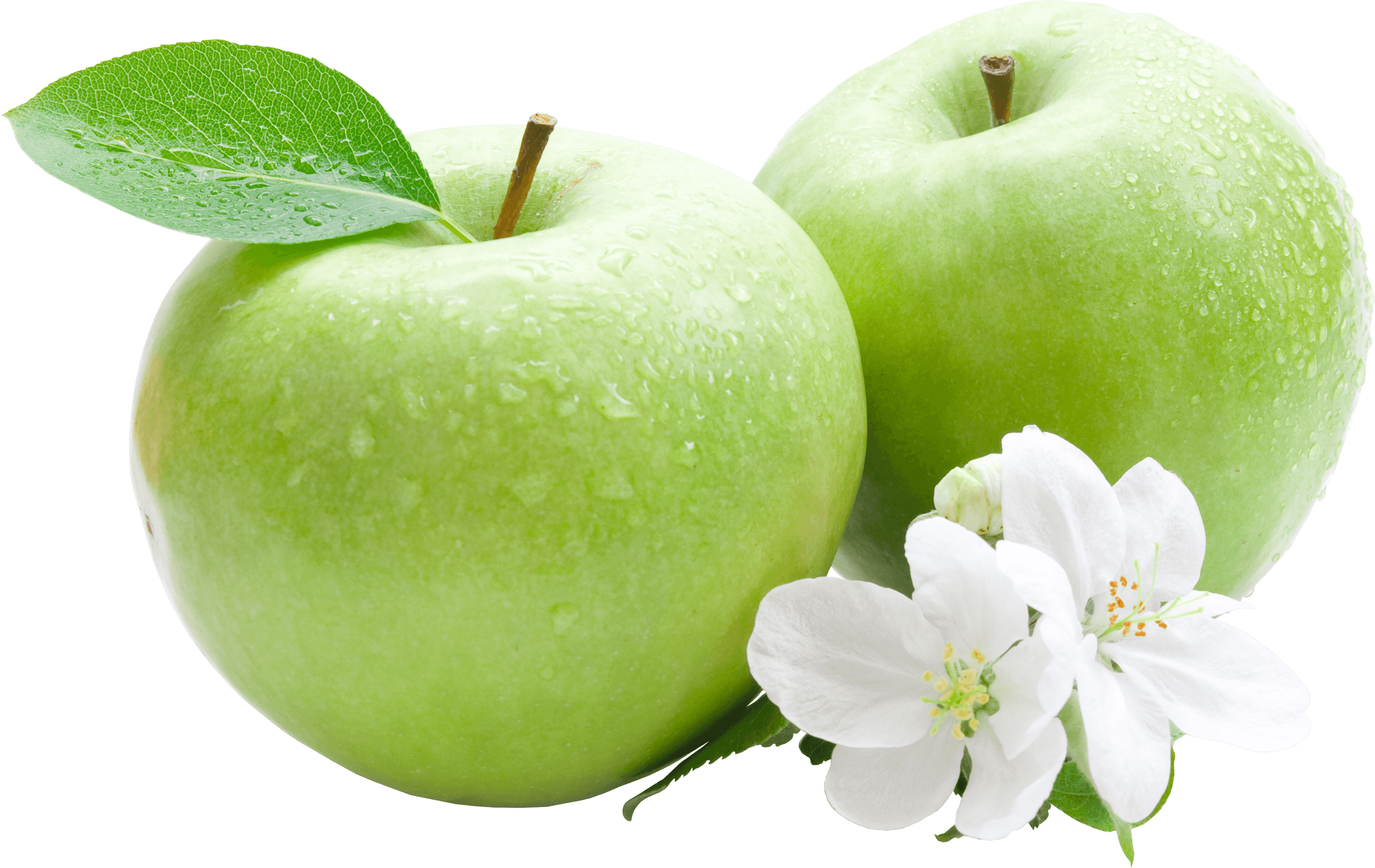 Portable Network Graphics Granny Smith Clip Art Apple - Botany Of ...