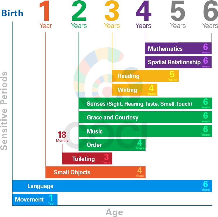 The Word Mathematics Download - Montessori Sensitive Periods Chart ...