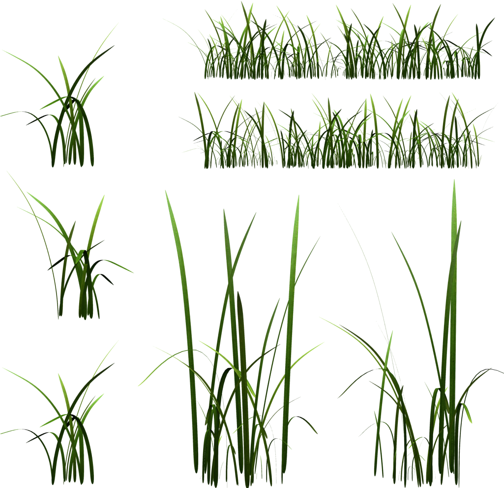 Texture Mapping Unreal Engine 4 Grasses Zbrush Low - Grass Texture Side ...
