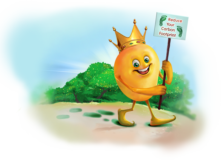 Why Hafoos Mango - Mango - (740x540) Png Clipart Download