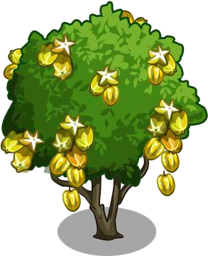Starfruit2-icon - Star Fruit Tree Clipart - (300x400) Png Clipart Download