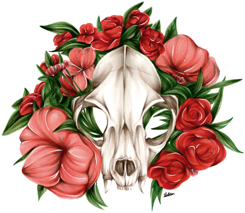 Bobcat Skull - Bobcat Skull - (1000x902) Png Clipart Download