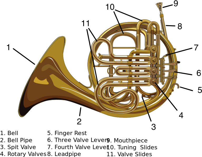 File - Carynprice-french Horn - Svg - Alat Musik Modern - (792x612) Png ...