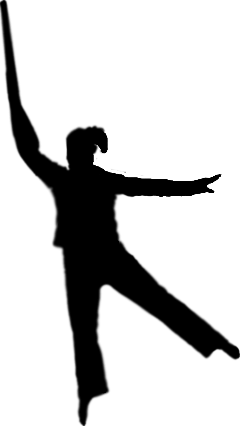 Color Guard Rifle Silhouette - (794x1406) Png Clipart Download