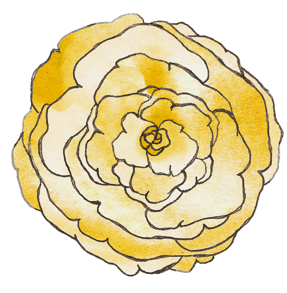 Texas Rangers Baseball Ticket First Birthday Invitation - Texas Rangers ...