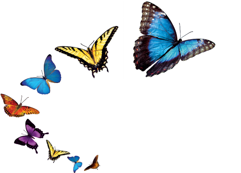 Change. Points Of View. - (1000x797) Png Clipart Download