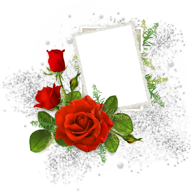 Funeral Frames - (800x797) Png Clipart Download