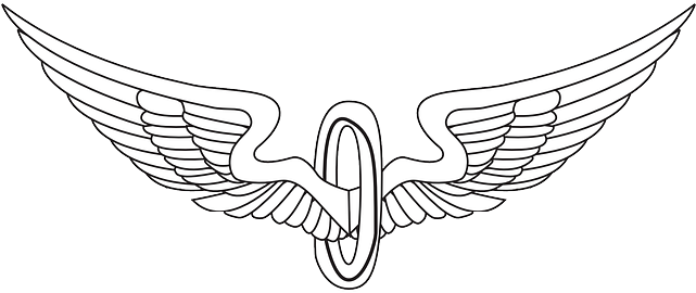 Drawing, Cartoon, Eagle, Angel, Wing, Fly - Wheel With Wings Png ...