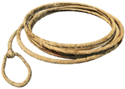 Lasso Small Loop - Lasso Transparent Png - (400x400) Png Clipart Download