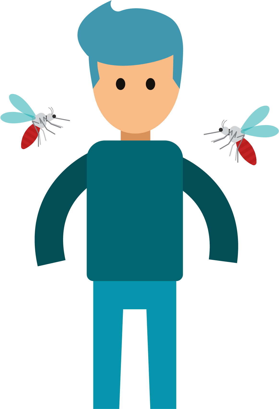 Mosquito Clip Art - Mosquito Bite Png - (1323x2021) Png Clipart Download