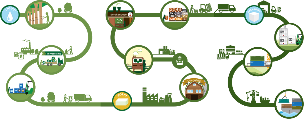Natural Rubber Process - Natural Rubber Production Process - (1049x410 ...