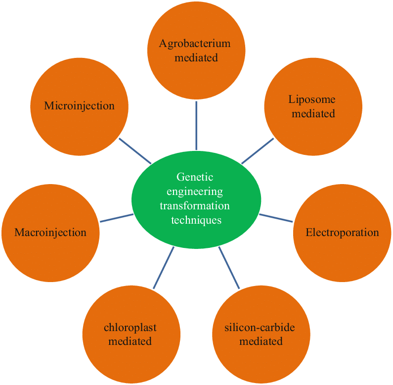 Download - Different Types Of Media - (795x778) Png Clipart Download