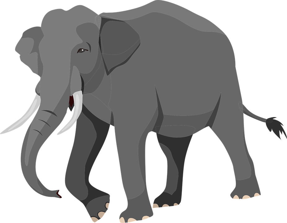 Elephant Graphic - Elephant Vector Png - (926x720) Png Clipart Download
