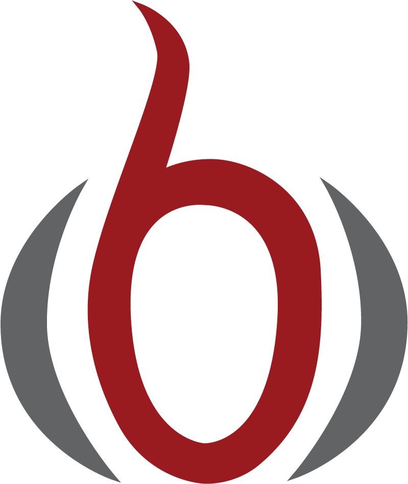 Centre For Biomedical Computing Logo - Biomedical Engineering ...