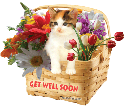 Good Morning Get Well Soon Gif - (535x465) Png Clipart Download