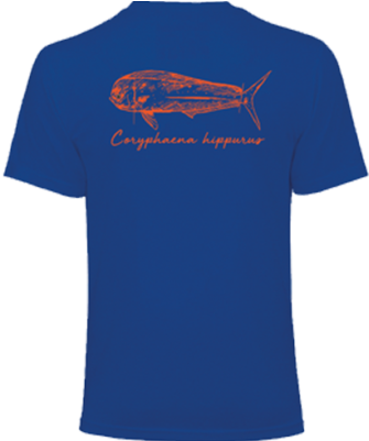 Coryphaena Hippurus - Mahi-mahi - (400x400) Png Clipart Download