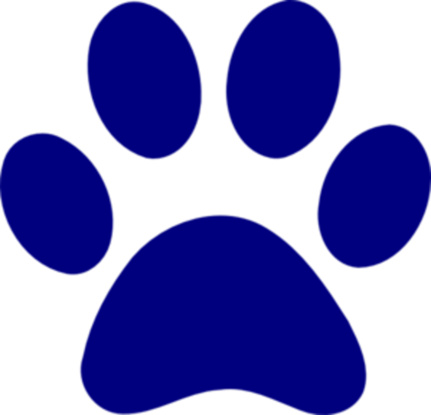 Blue Paw Print Logo - Paw Blue - (850x819) Png Clipart Download