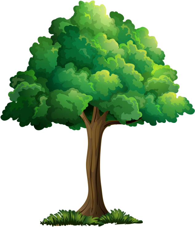 Tree Leavescartoon Pictureclip Art - Clip Art Summer Tree - Full Size ...