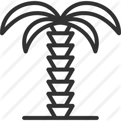 Palm Tree - Tree - (512x512) Png Clipart Download