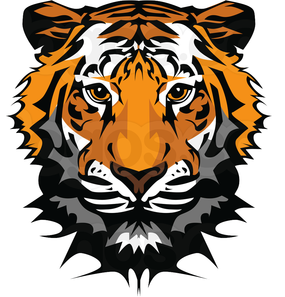 Free Tiger Vector - (1024x1044) Png Clipart Download