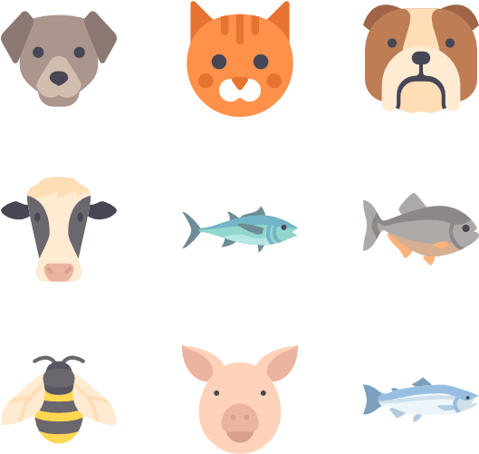 Animals Png - (600x564) Png Clipart Download