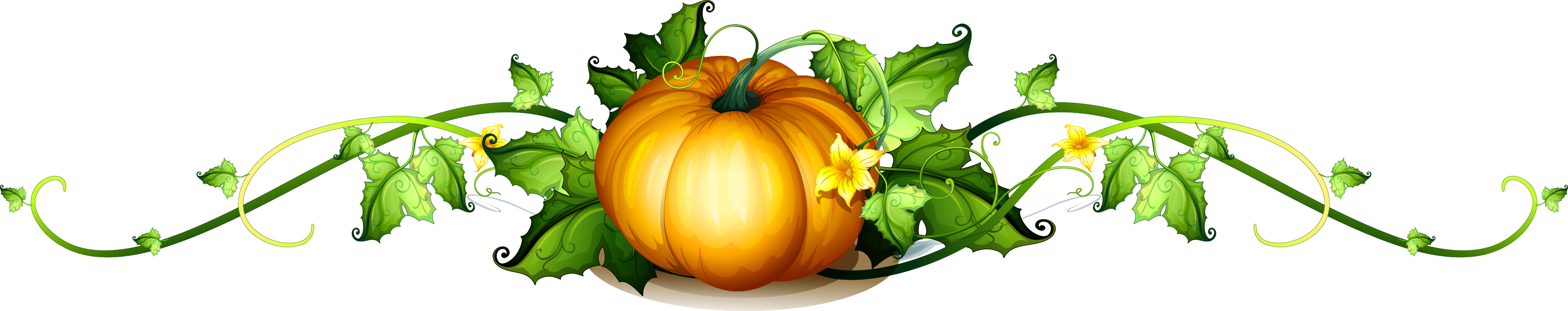 Pumpkin Vine Royalty-free Clip Art - Pumpkin Vine - (3762x746) Png ...