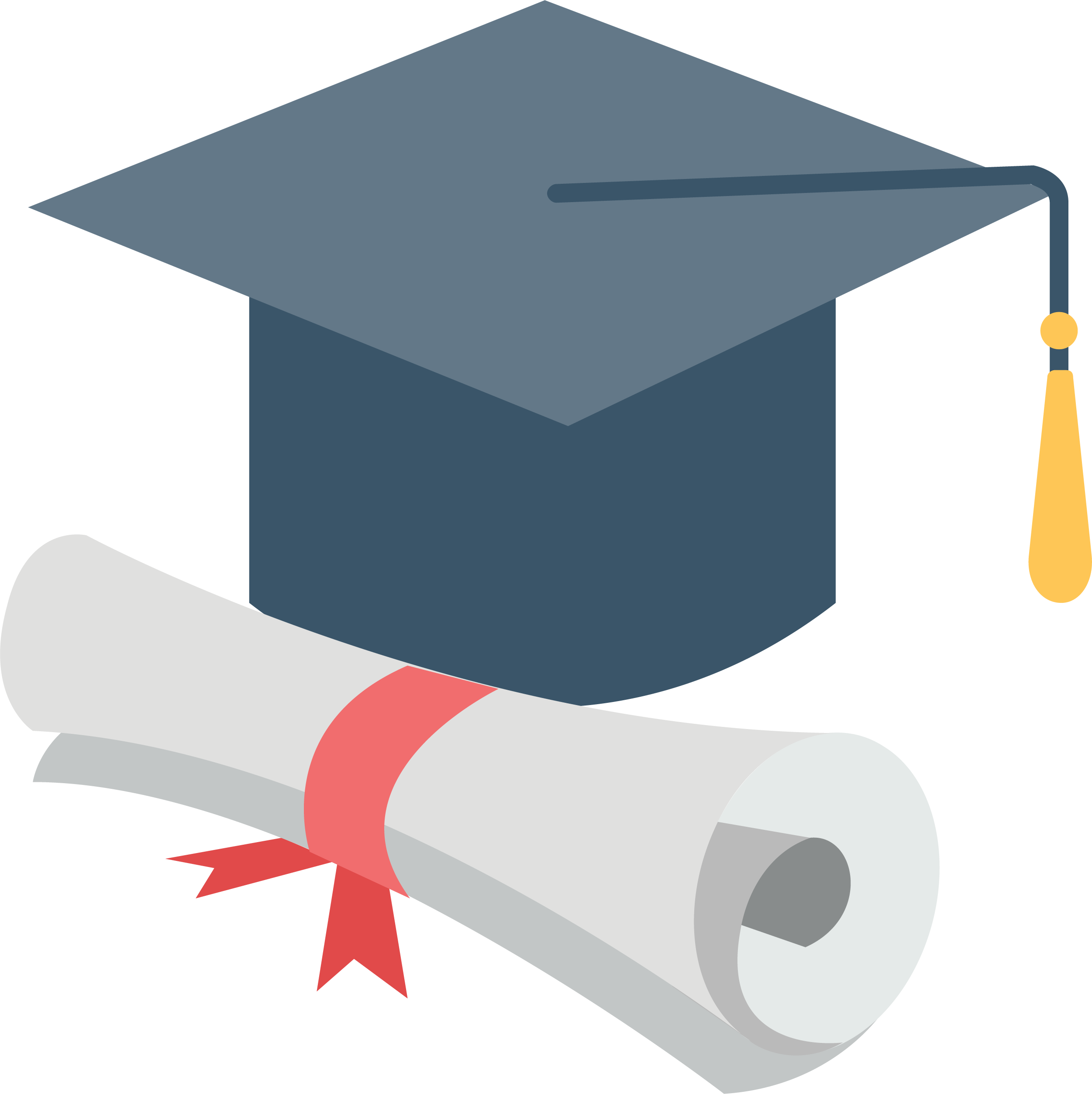 Bachelors Degree Graduation Ceremony Icon - Educational Qualification ...