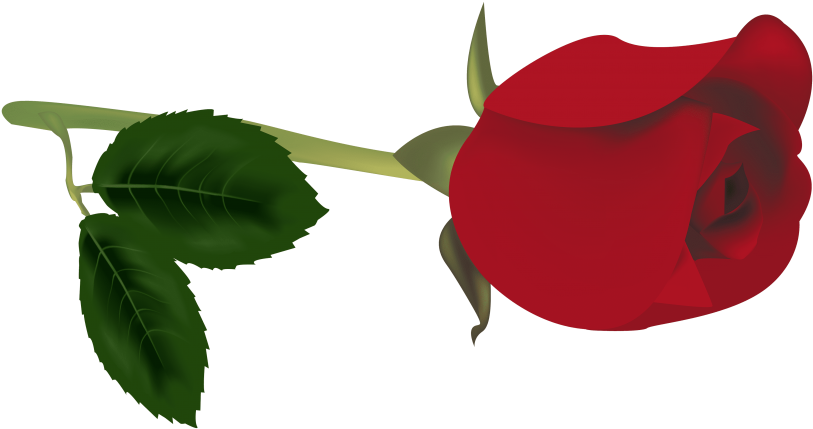 Free Png Red Rose Bud Png Images Transparent - Rose Bud Clip Art ...