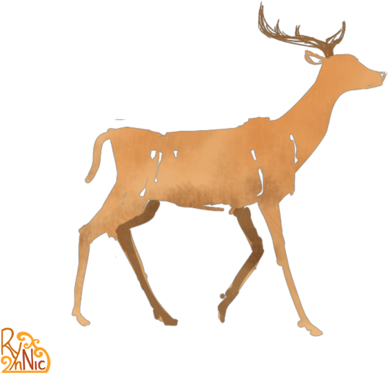 2d Animation Walk Cycle Gif - Deer Walking Animation Gif - (614x576 ...