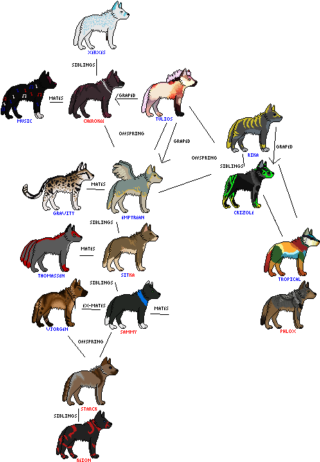 Family Tree By Finis-wolf - Family Tree Of A Wolf - (768x709) Png ...