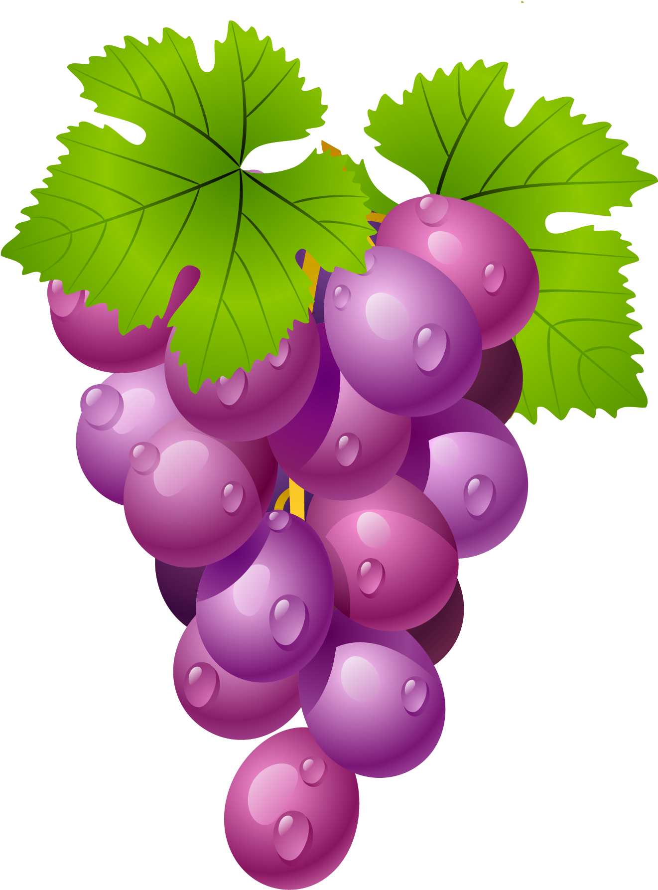 Grapes Clipart 1 Clipart Kids Pedia - Grapes Fruit Clip Art ...