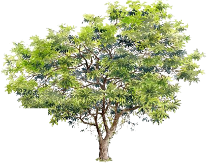 Tree Trimming - Stock Illustration - (435x319) Png Clipart Download