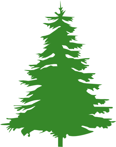 Pine Tree Silhouette - Tree - (512x512) Png Clipart Download