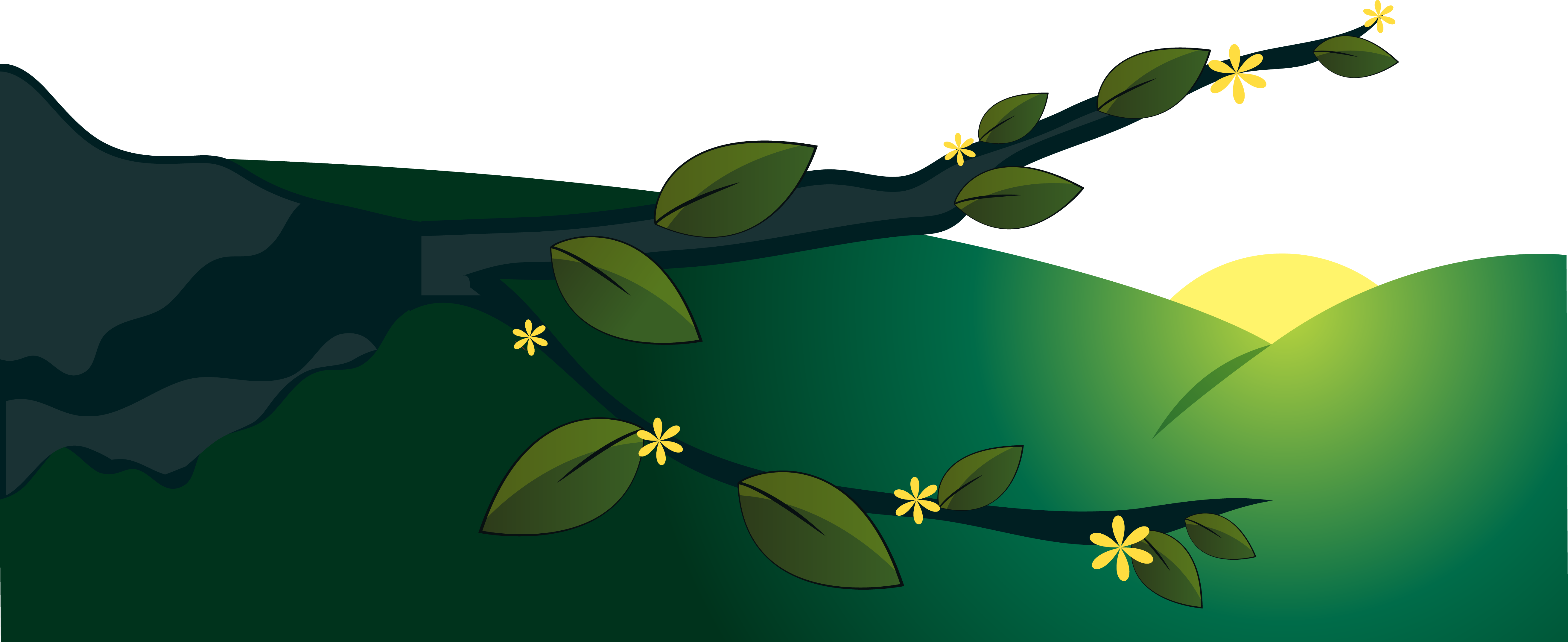 Cartoon Euclidean Vector - Euclidean Vector - (5241x2145) Png Clipart ...