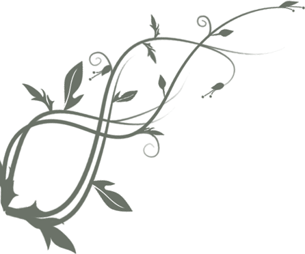 Black Flower Vine Png - (446x372) Png Clipart Download