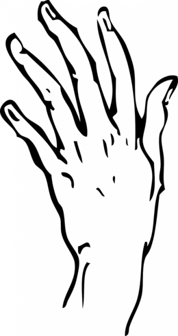 Black And White Hand Clip Art Clipart - Left Hand - (260x489) Png ...