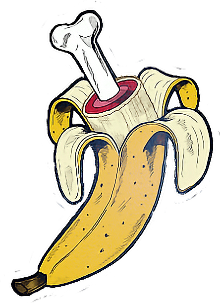 Png Bananas Clipart Cool Banana - Bone In A Banana - (444x610) Png ...
