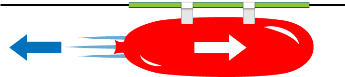 Balloon - Balloon Rocket Newton's Third Law - (782x235) Png Clipart ...