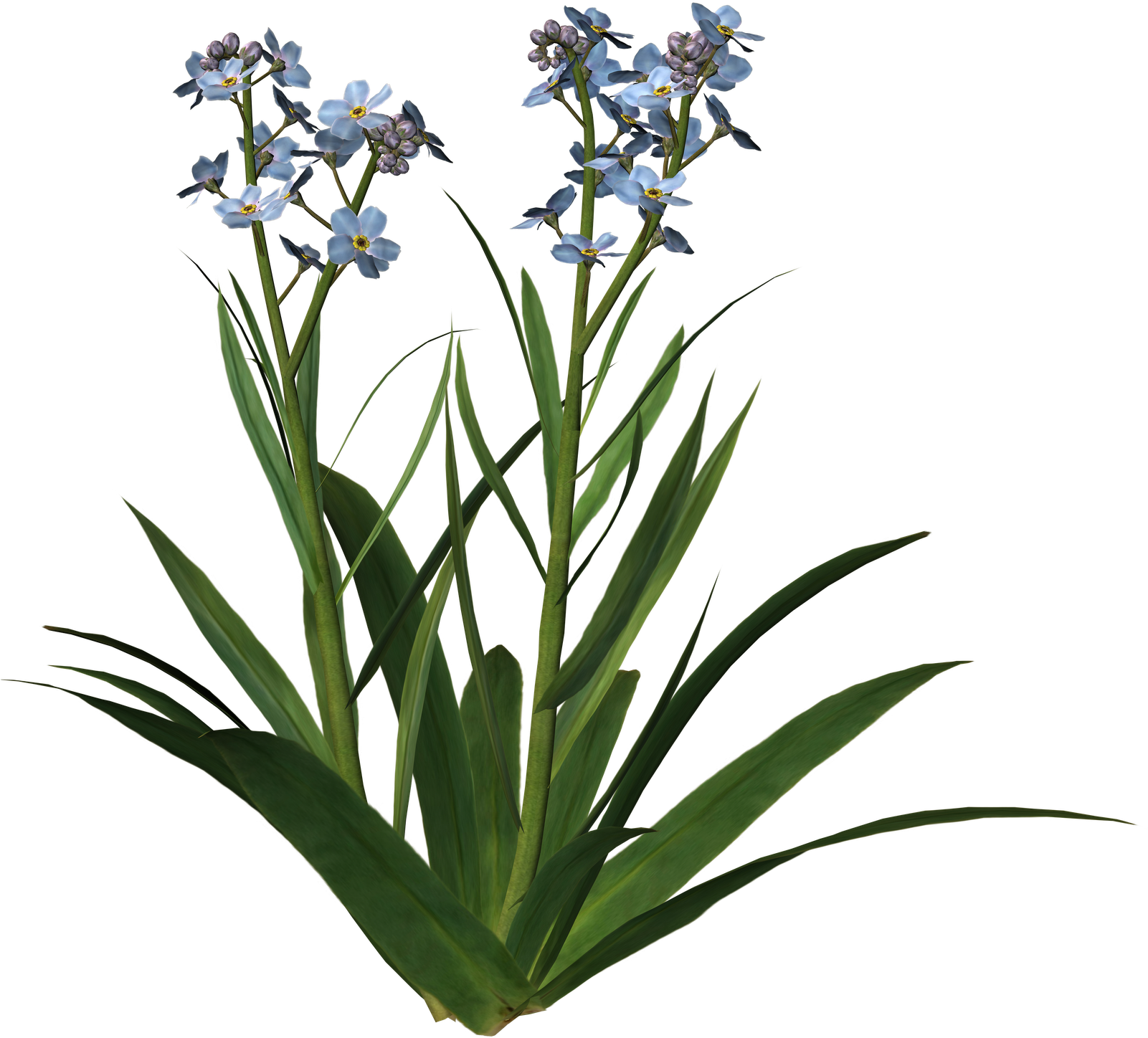 Misc Png Clip Art - Clip Art - (1600x1600) Png Clipart Download