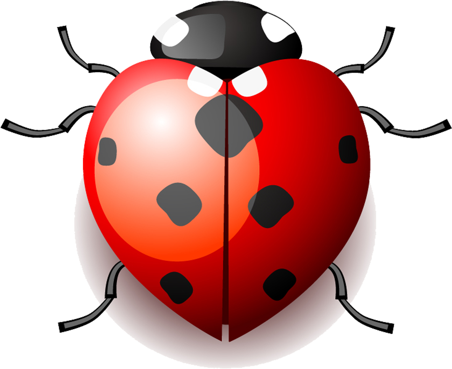 Clip Art Black And White Library Apron Drawing Ladybug - Clip Art Black ...