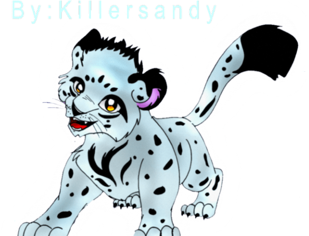 Clouded Leopard Clipart Cartoon - Drawing - (640x480) Png Clipart Download