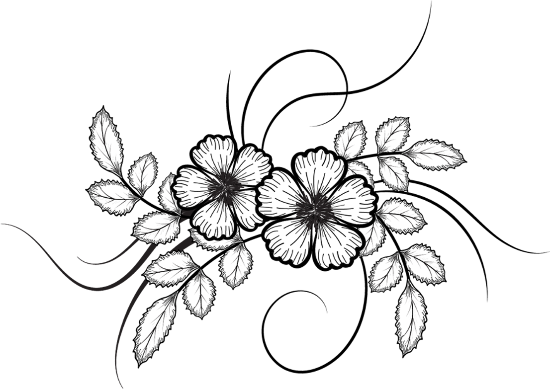 Chalk Flower Drawing Png - Flower Drawing Png - (1105x800) Png Clipart ...