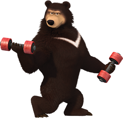 1 - Bear - (485x465) Png Clipart Download