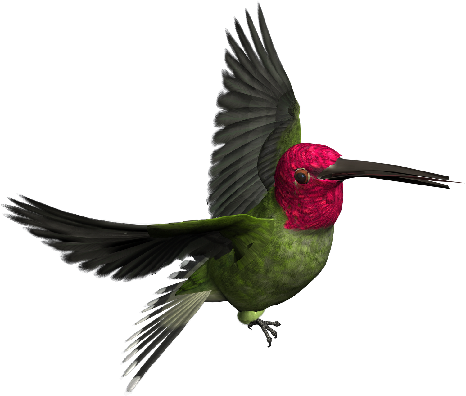 Realistic Birds Cliparts - Woodpeckers Transparent - (1600x1600) Png ...