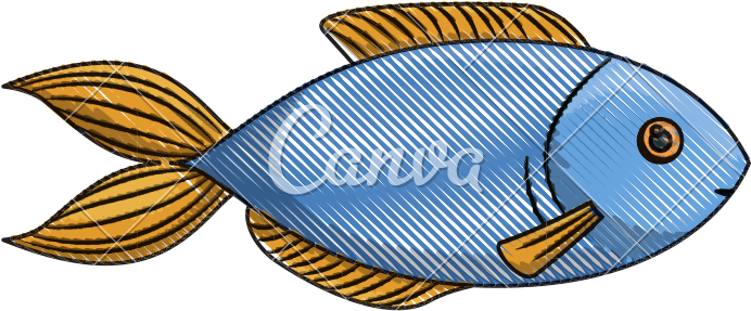 Blue Trout Fish - Vector Graphics - (800x800) Png Clipart Download