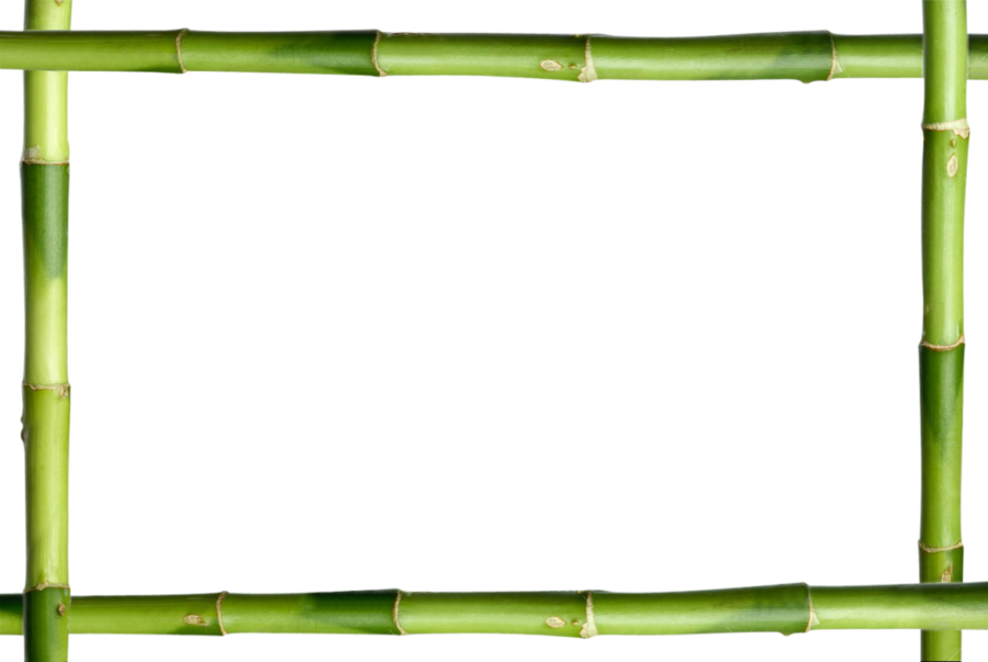 Bamboo Stick Png Clipart Bamboo Clip Art - Bamboo Stick Frame Png ...