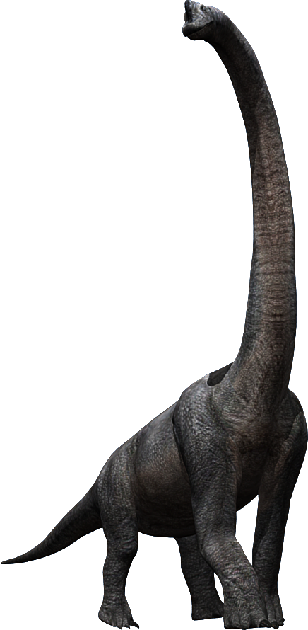 Brachiosaurus - Jurassic Park Brachiosaurus Png - (436x890) Png Clipart ...