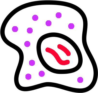 Cell Biology - Biology - (700x700) Png Clipart Download